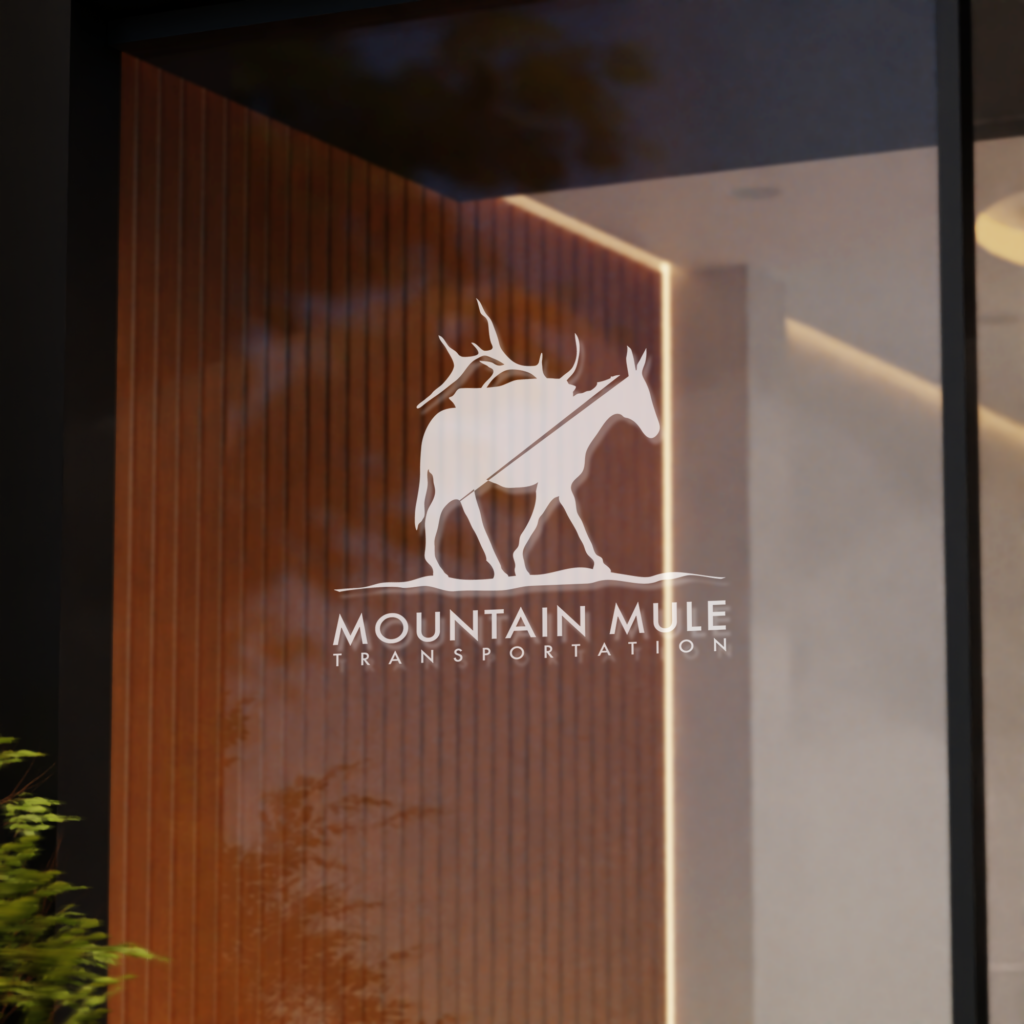 2024 Review as a Brand Strategist and Designer - unbridledform.com